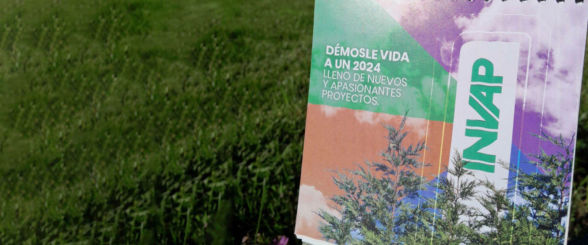 Calendario INVAP 2024 - INVAP - Investigación Aplicada : INVAP ...